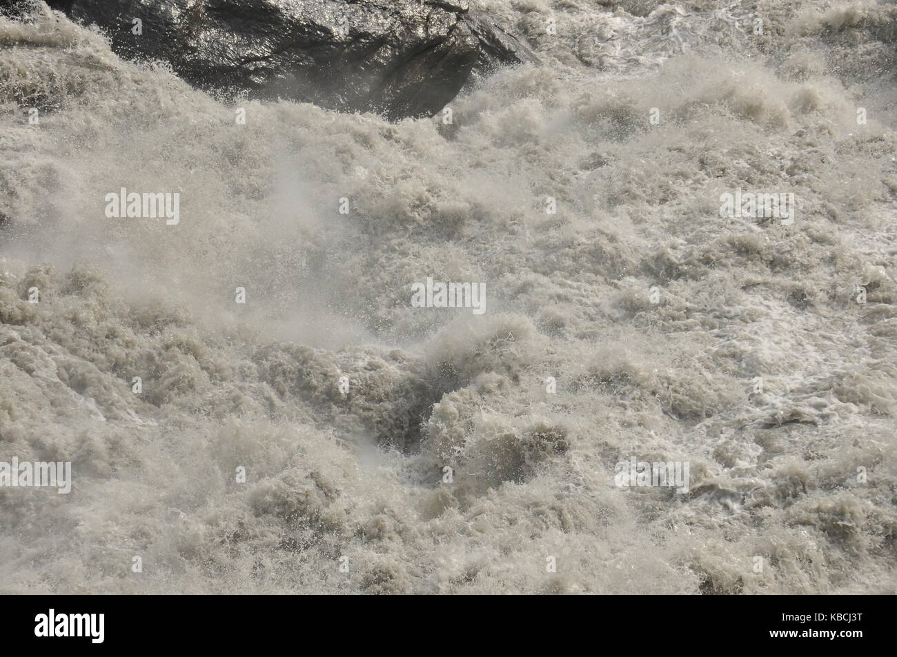 Flood trough trees hi-res stock photography and images - Alamy