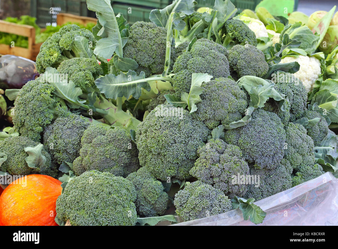 Big Bunch of Broccoli Vegetables at Farmers Market Stock Photo - Alamy