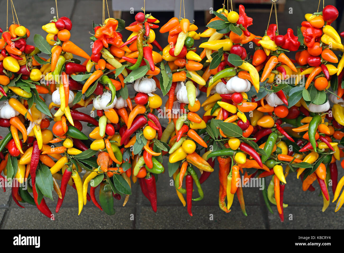 Colorful Hot Chili Peppers Hanging at Strings Stock Photo - Alamy