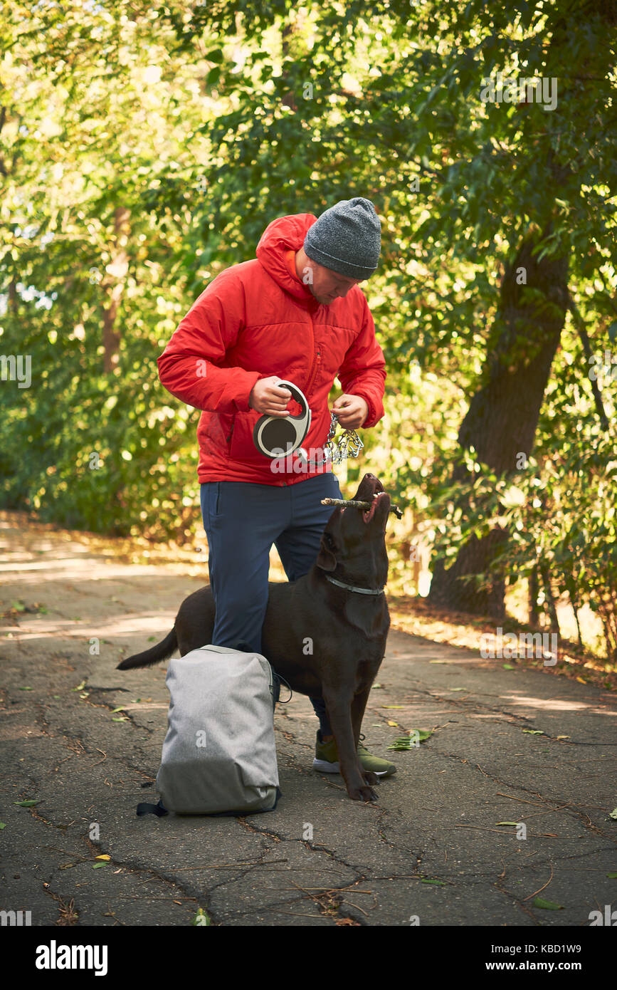 walking the dog in the Park Stock Photo - Alamy