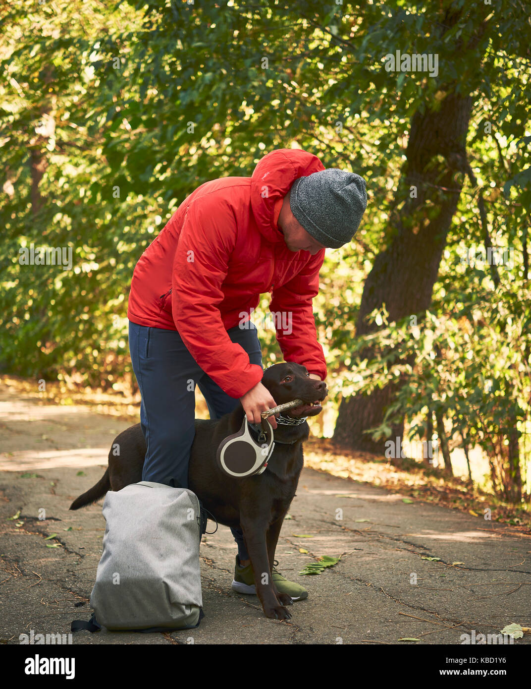 walking the dog in the Park Stock Photo - Alamy