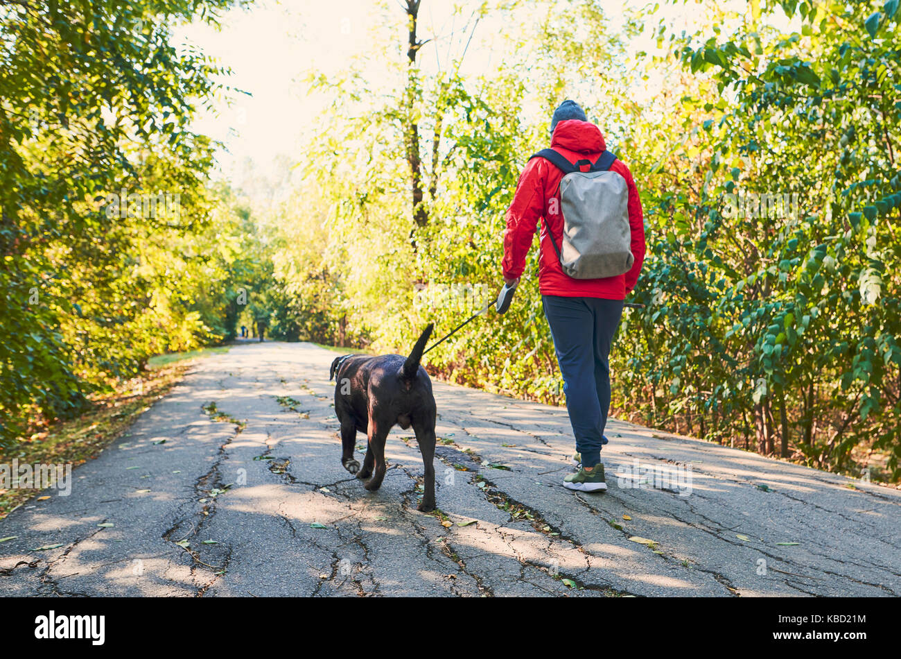 walking the dog in the Park Stock Photo - Alamy