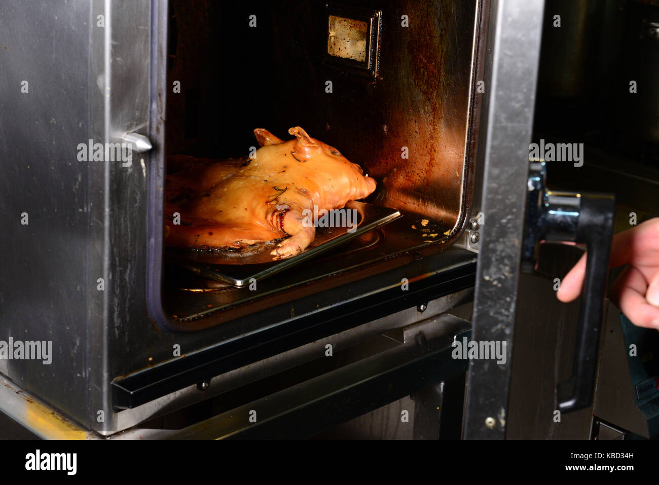 chef preparing italian pork Stock Photo - Alamy