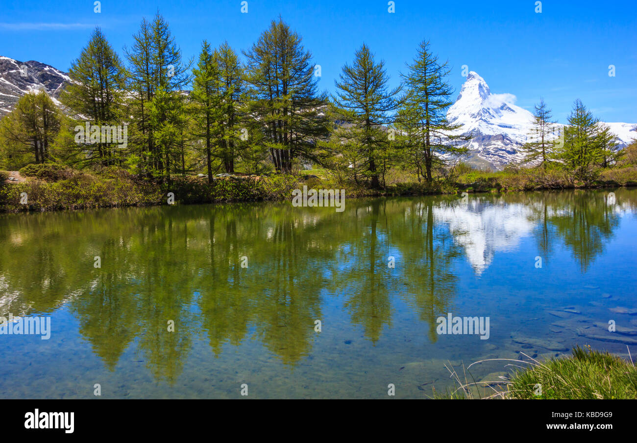 Grindjisee Lake with Matterhorn Reflection on the water, one of top ...