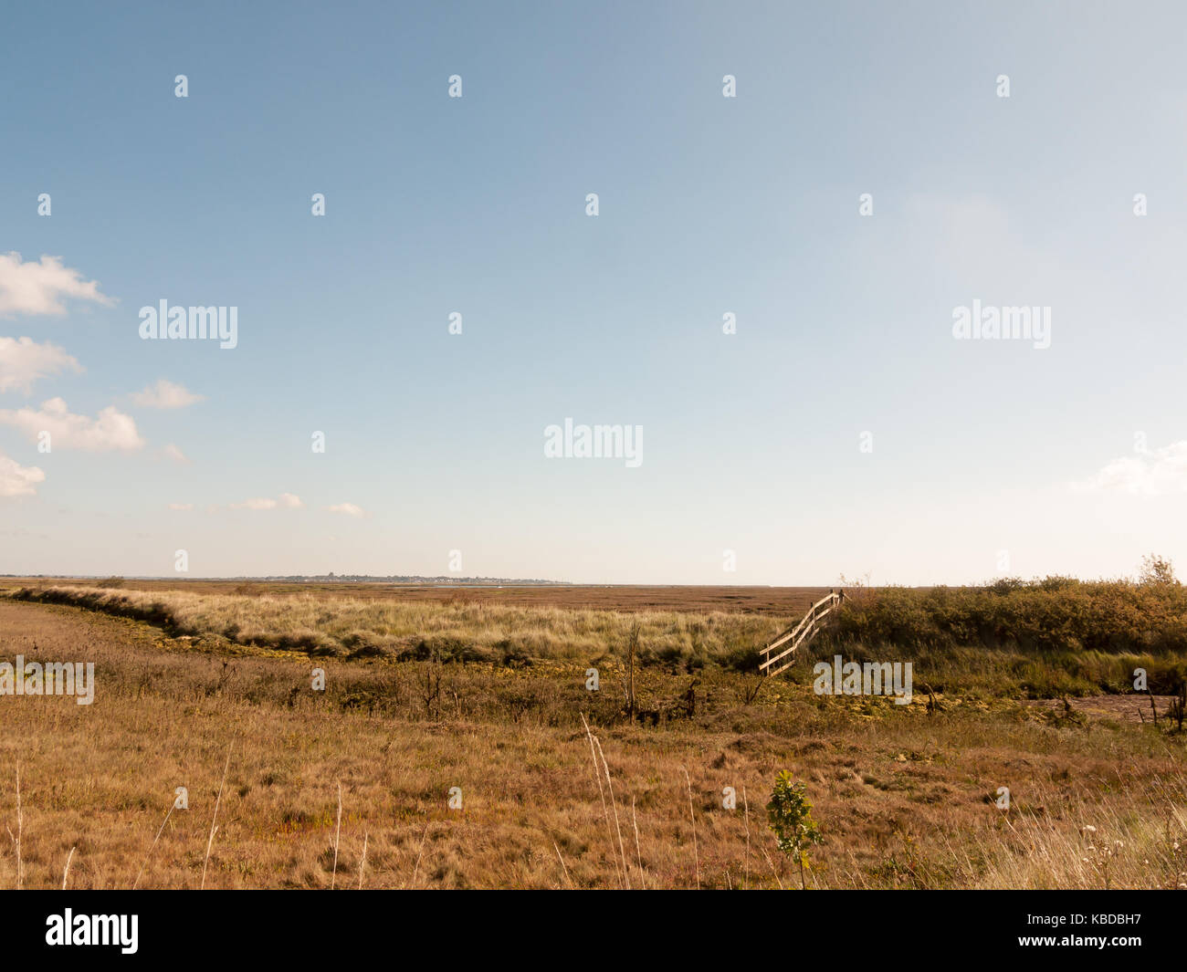 open marshland landscape scene with blue skies, clouds, and grass ...