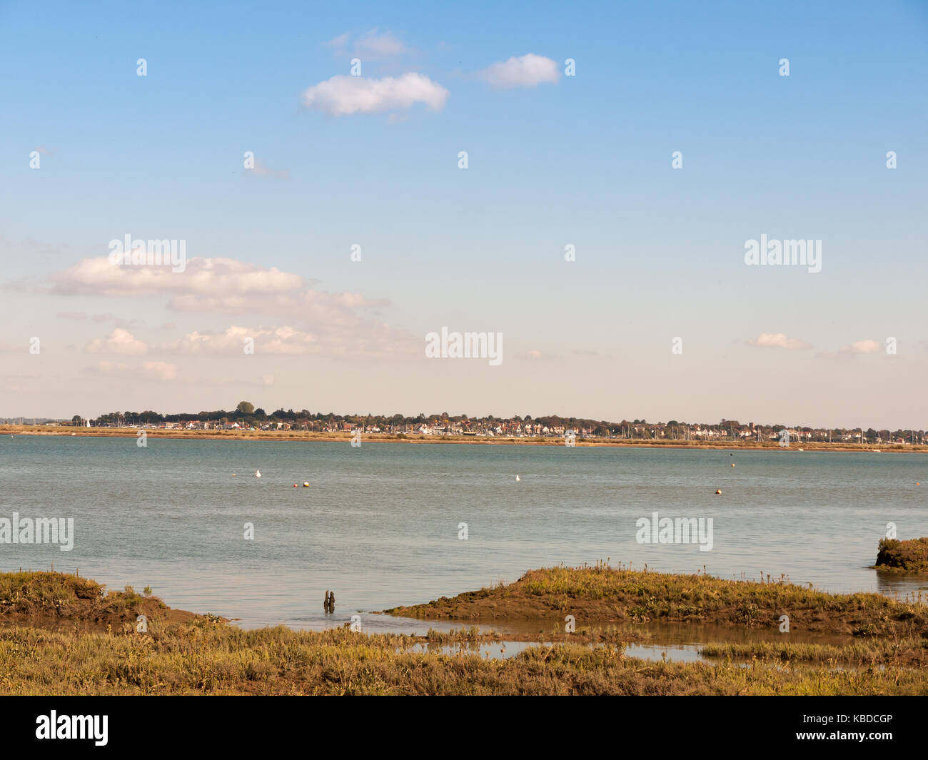 beautiful scene of river with boats grassland in front blue sky and ...