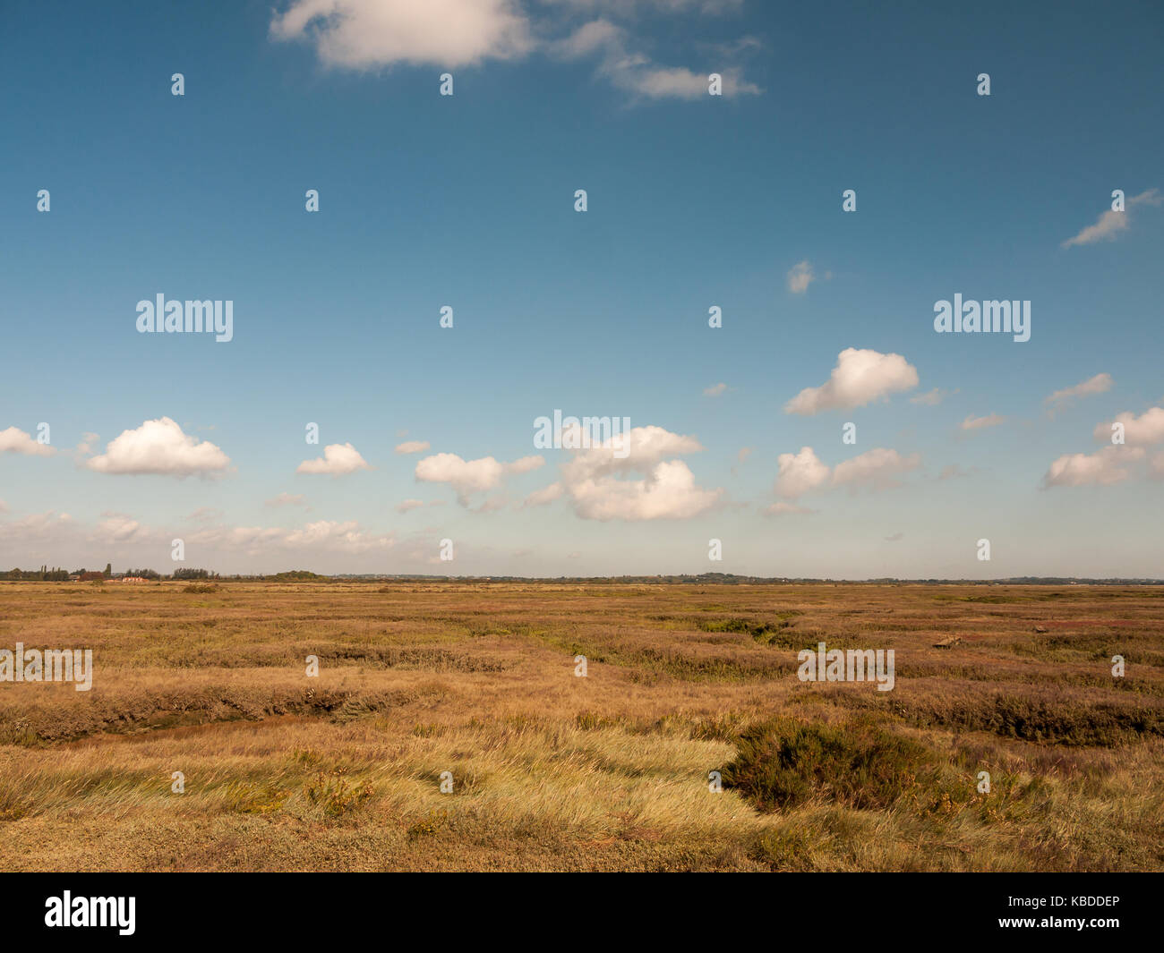 open marshland landscape scene with blue skies, clouds, and grass ...