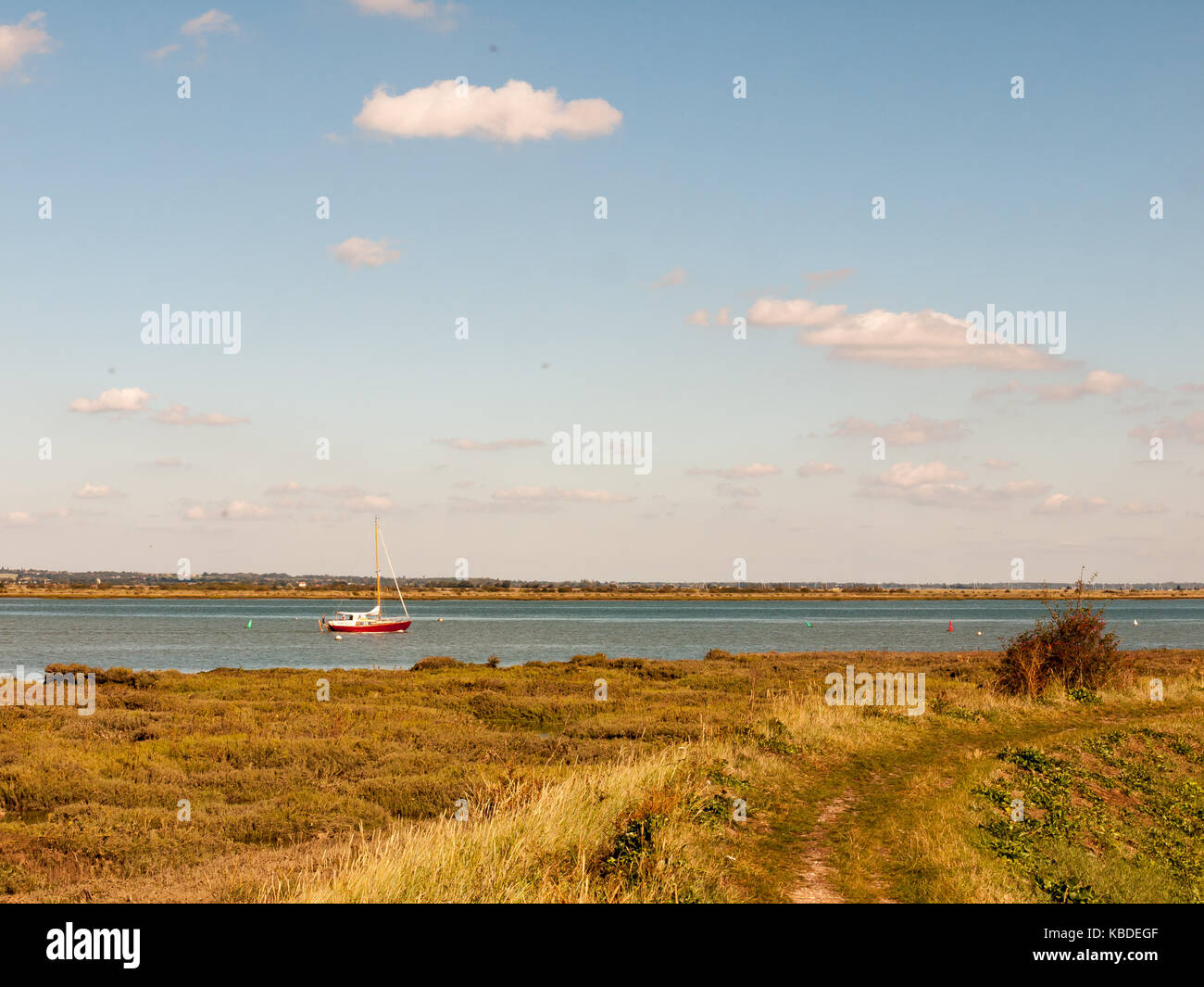 beautiful scene of river with boats grassland in front blue sky and ...