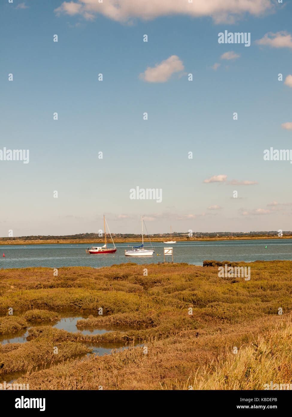 beautiful scene of river with boats grassland in front blue sky and ...