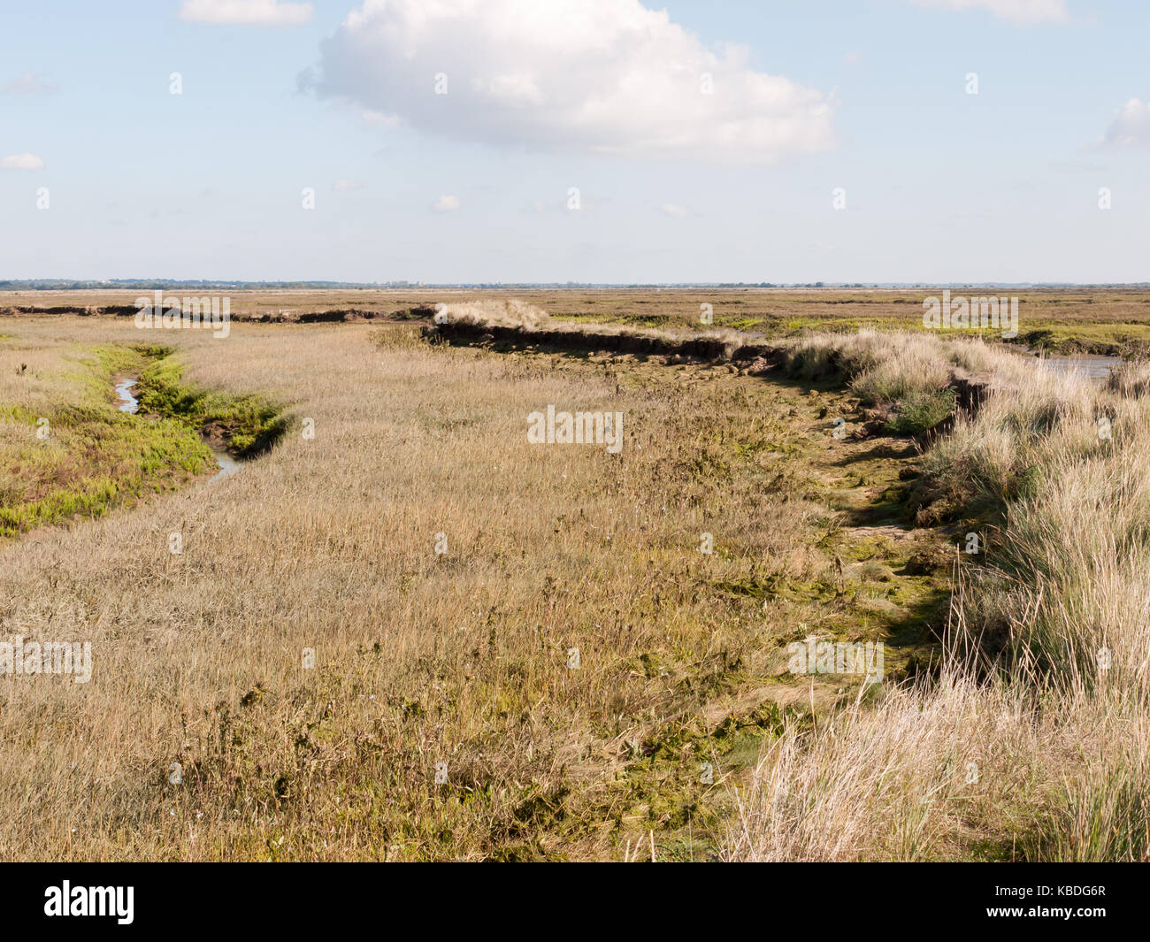 landscape grass marshland scene outside empty space no people walkway ...