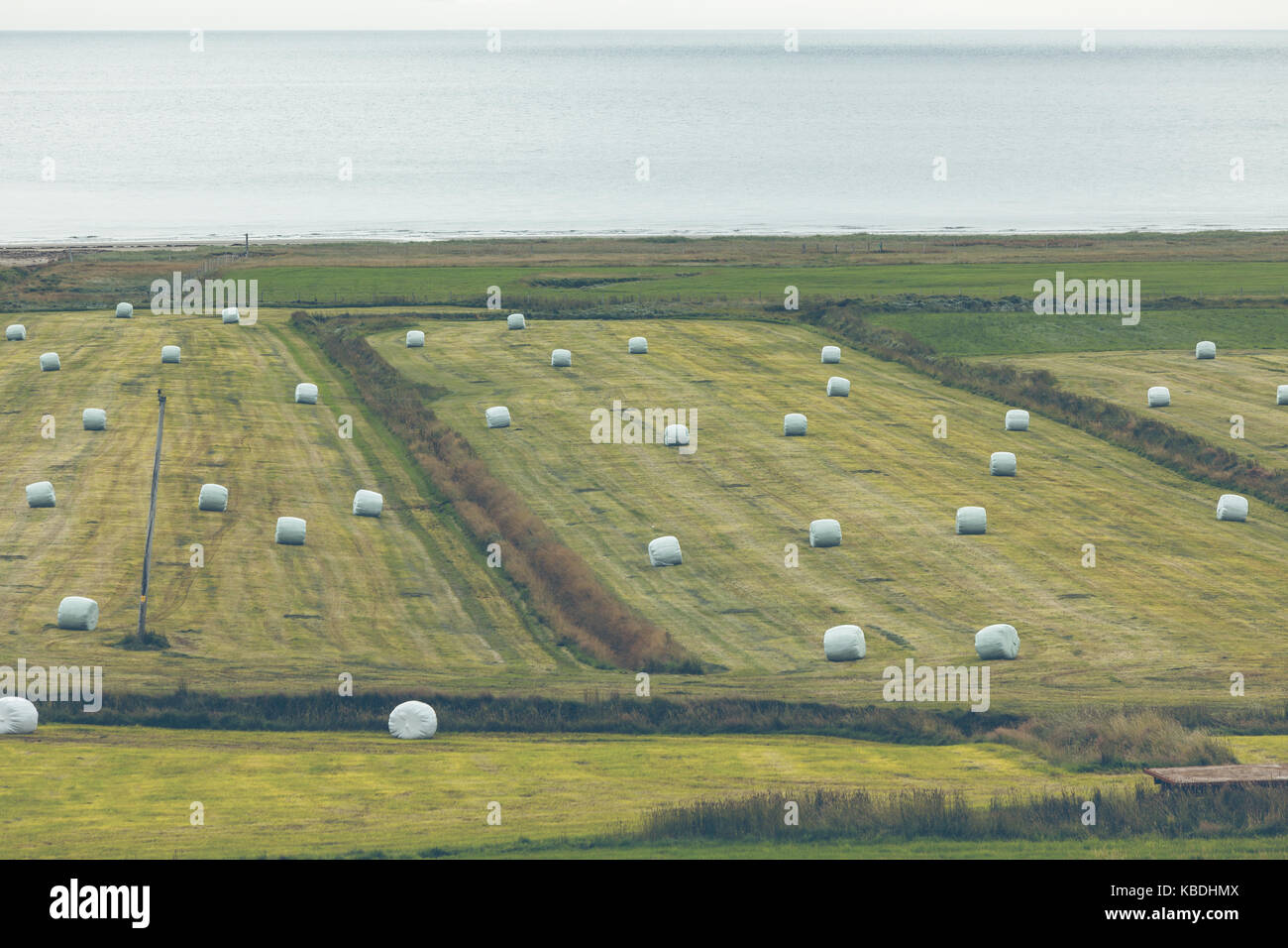 White Hay Rolls on a Green Field of Iceland. Horizontal shot Stock ...