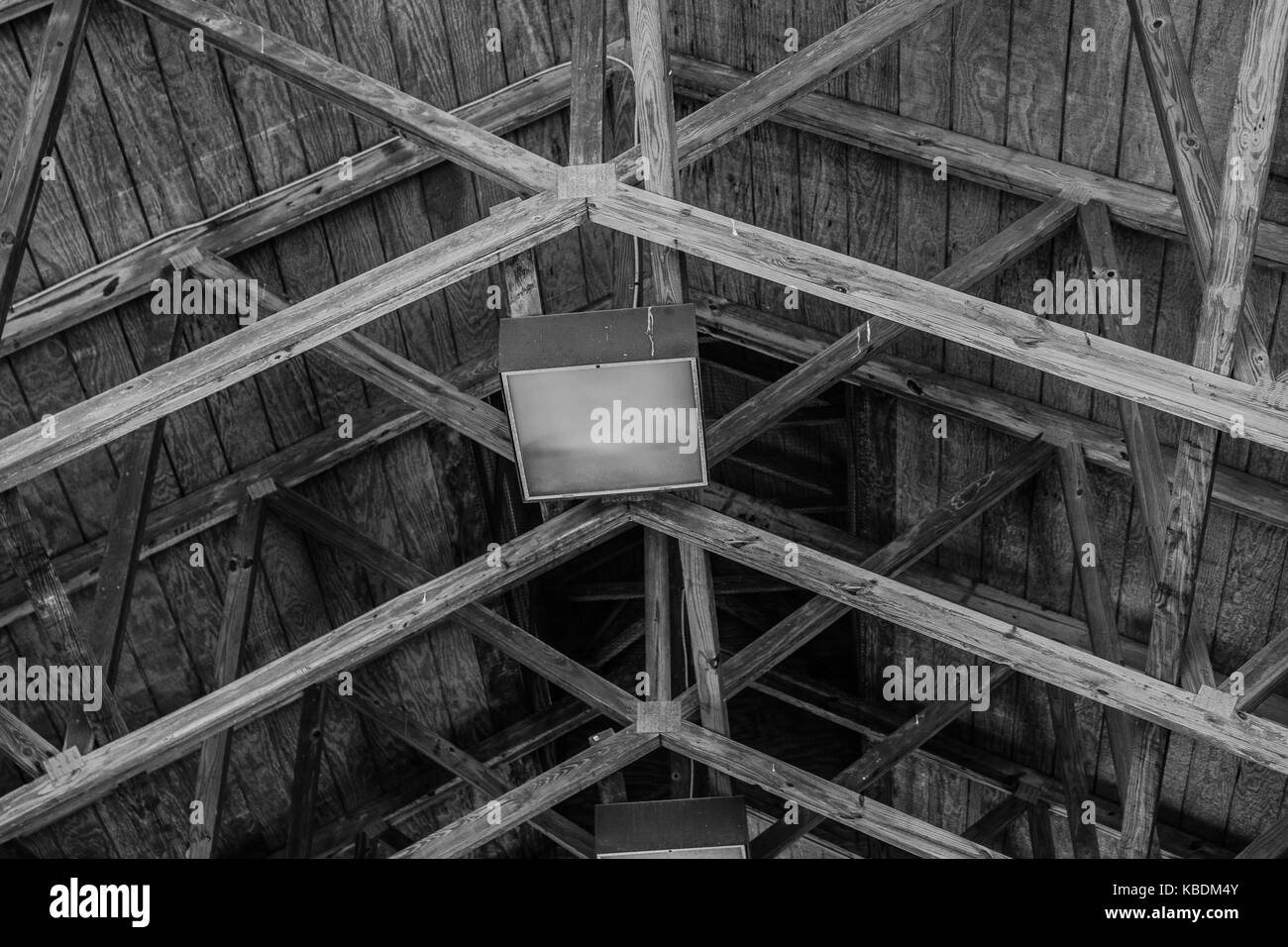 Balsa tree hi-res stock photography and images - Alamy