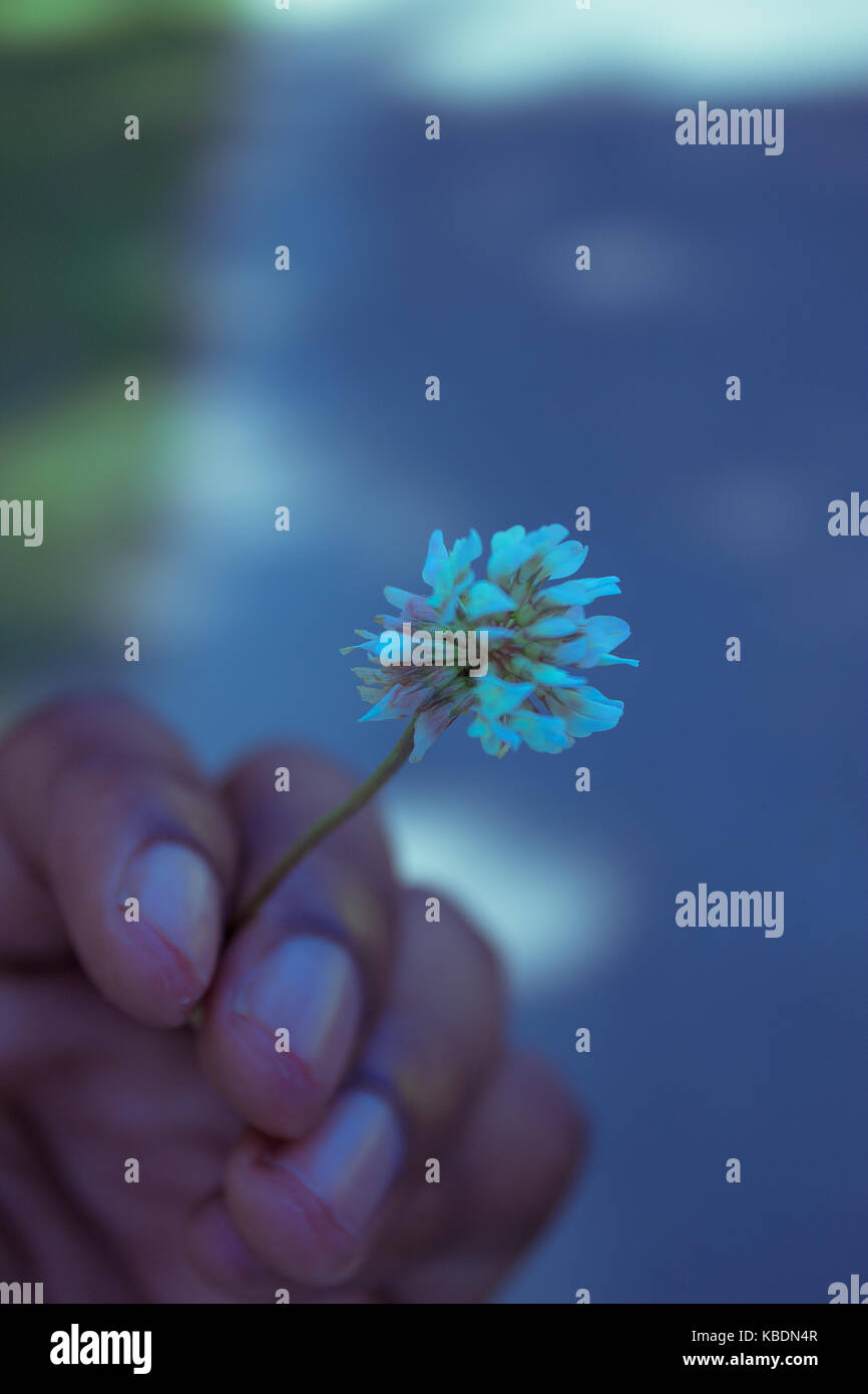 Brilliant hand hi-res stock photography and images - Alamy