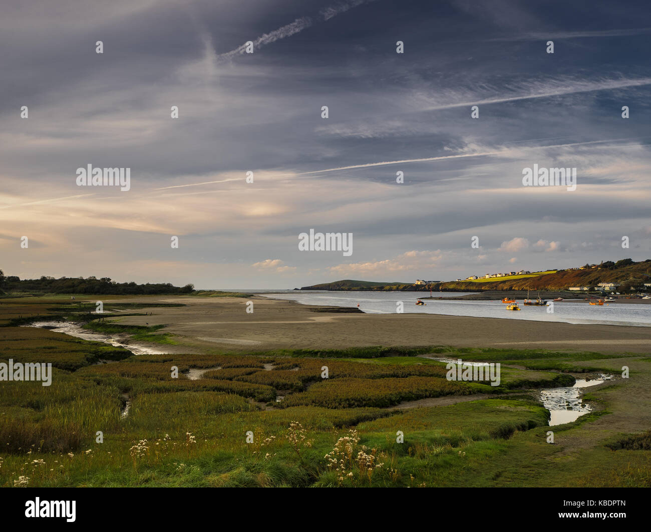River Teifi estuary, St Dogmaels Stock Photo - Alamy