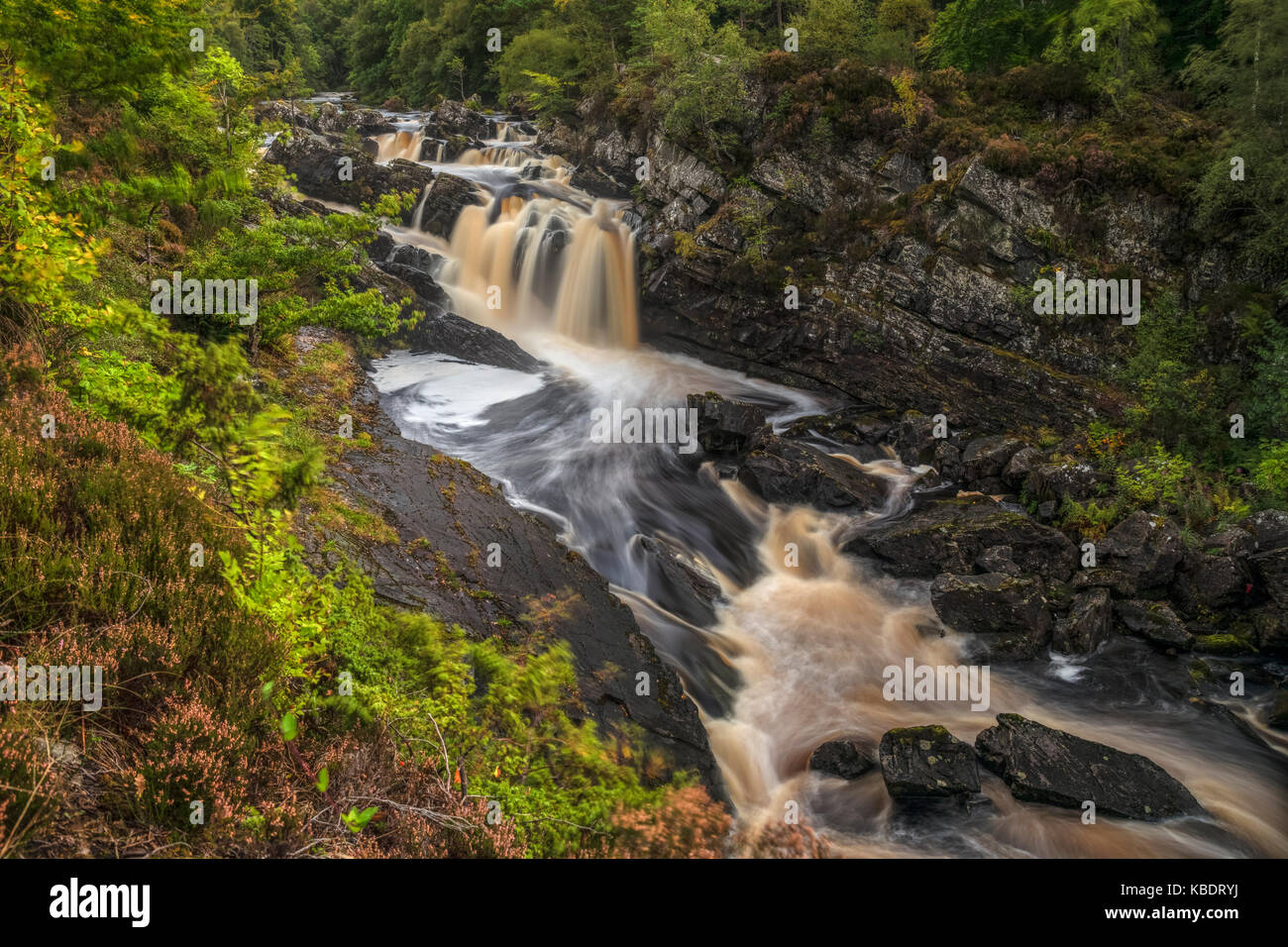 Rogie Falls Stock Photos & Rogie Falls Stock Images - Alamy