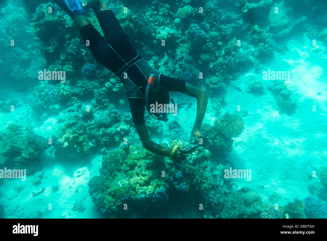 The man floats under water on coral reefs Stock Photo - Alamy