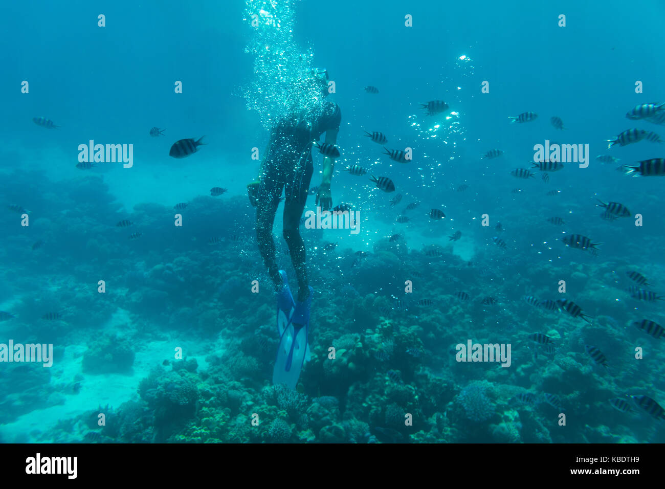 The man floats under water on coral reefs Stock Photo - Alamy