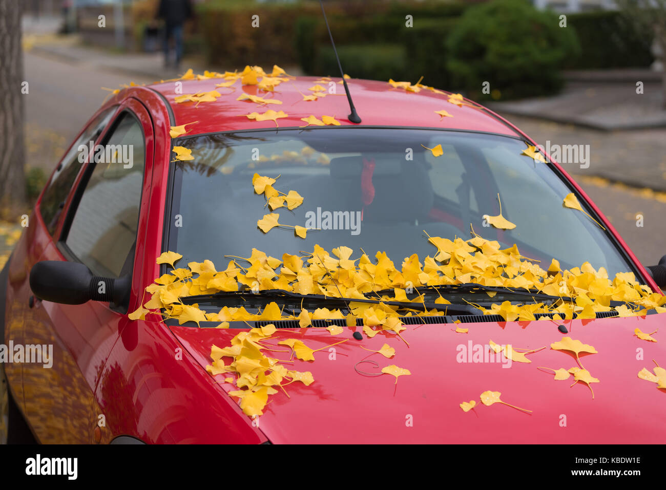 red car covered with fallen autumn leaves Stock Photo - Alamy