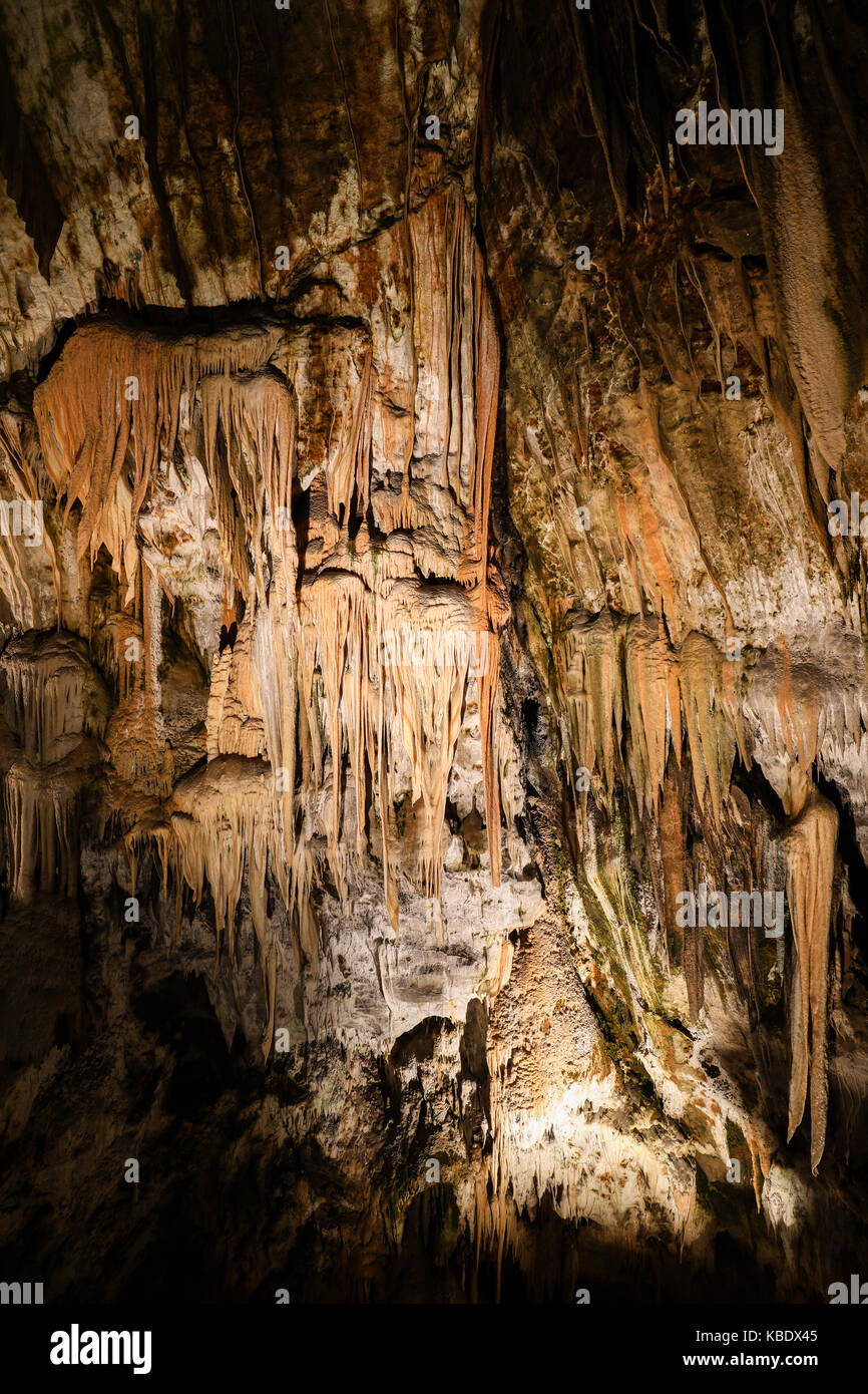 Postojna Cave (Slovenian: Postojnska jama; Italian: Grotte di Postumia ...