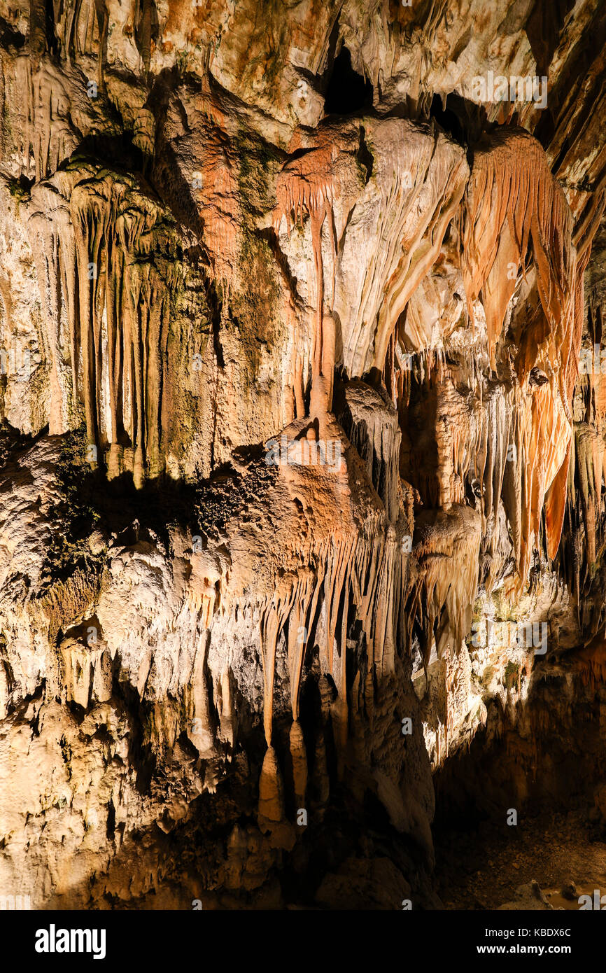 Postojna Cave (Slovenian: Postojnska jama; Italian: Grotte di Postumia ...