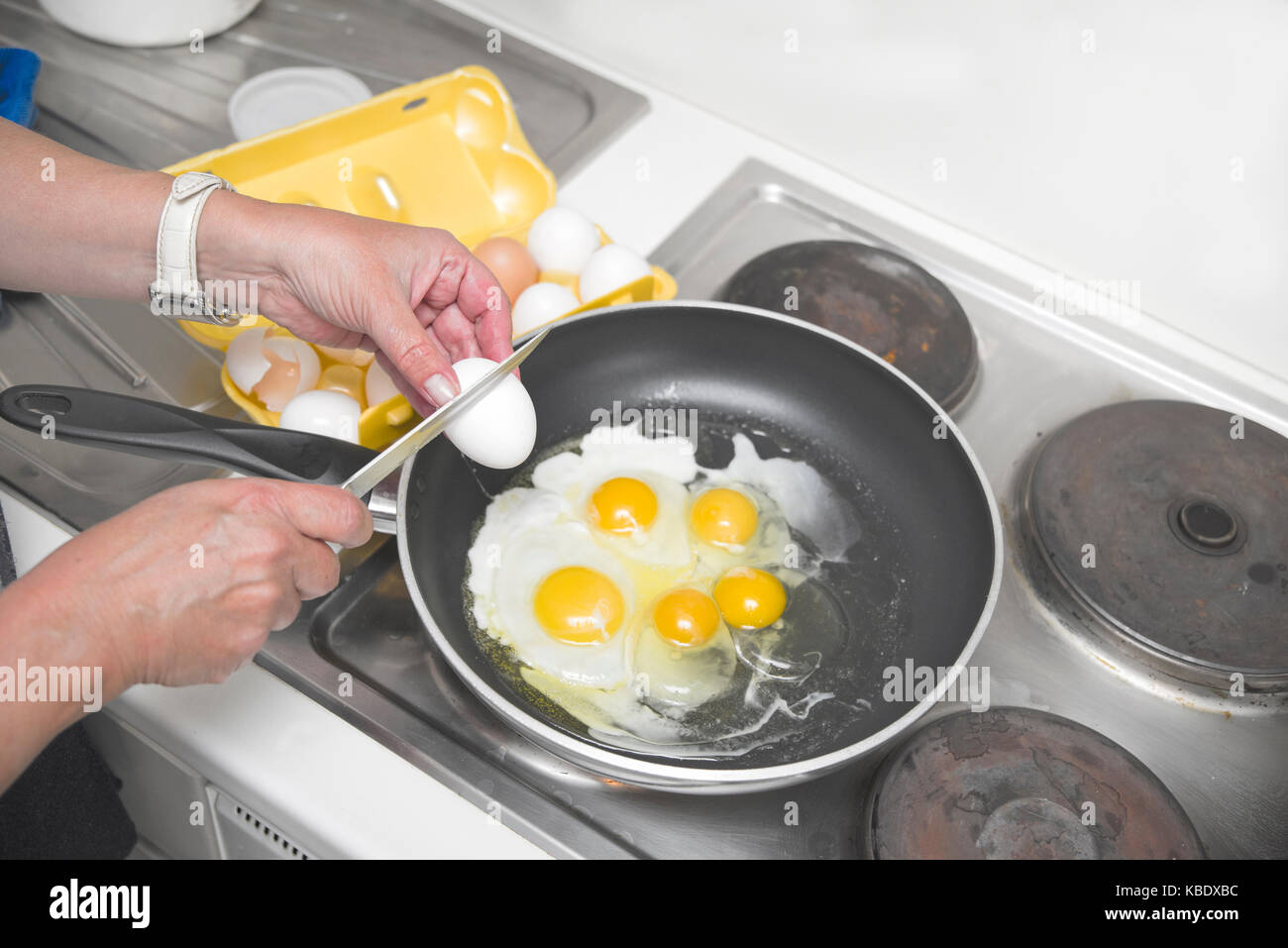 Female hands cooking fried eggs on electric stove, indoor closeup Stock ...