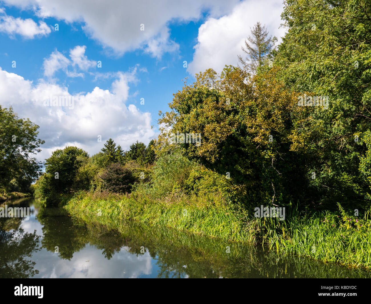 River Kennet nr Thale, Reading, Berkshire, England Stock Photo - Alamy