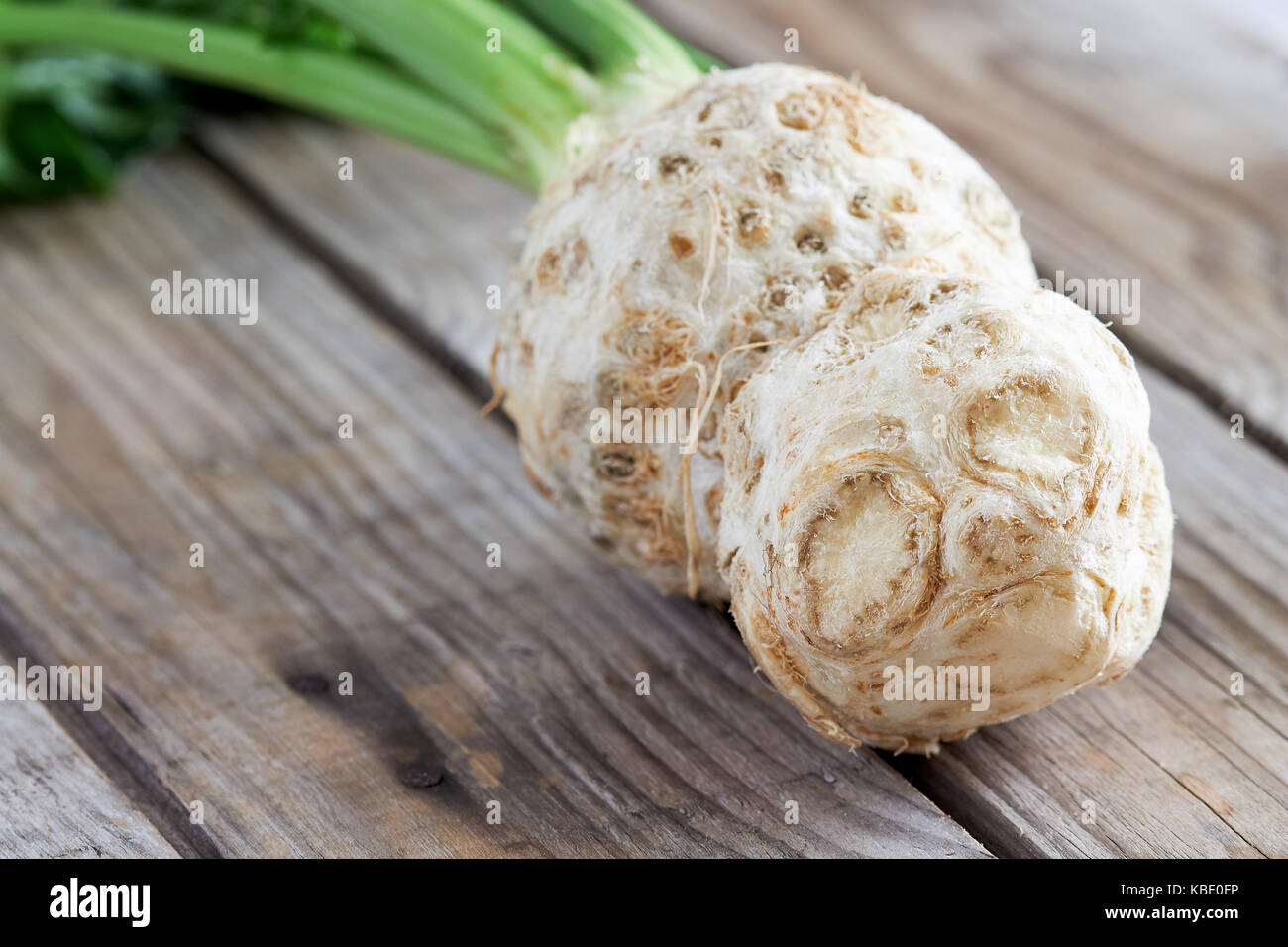 Fresh raw celery root with green stalk on rustic wooden background ...