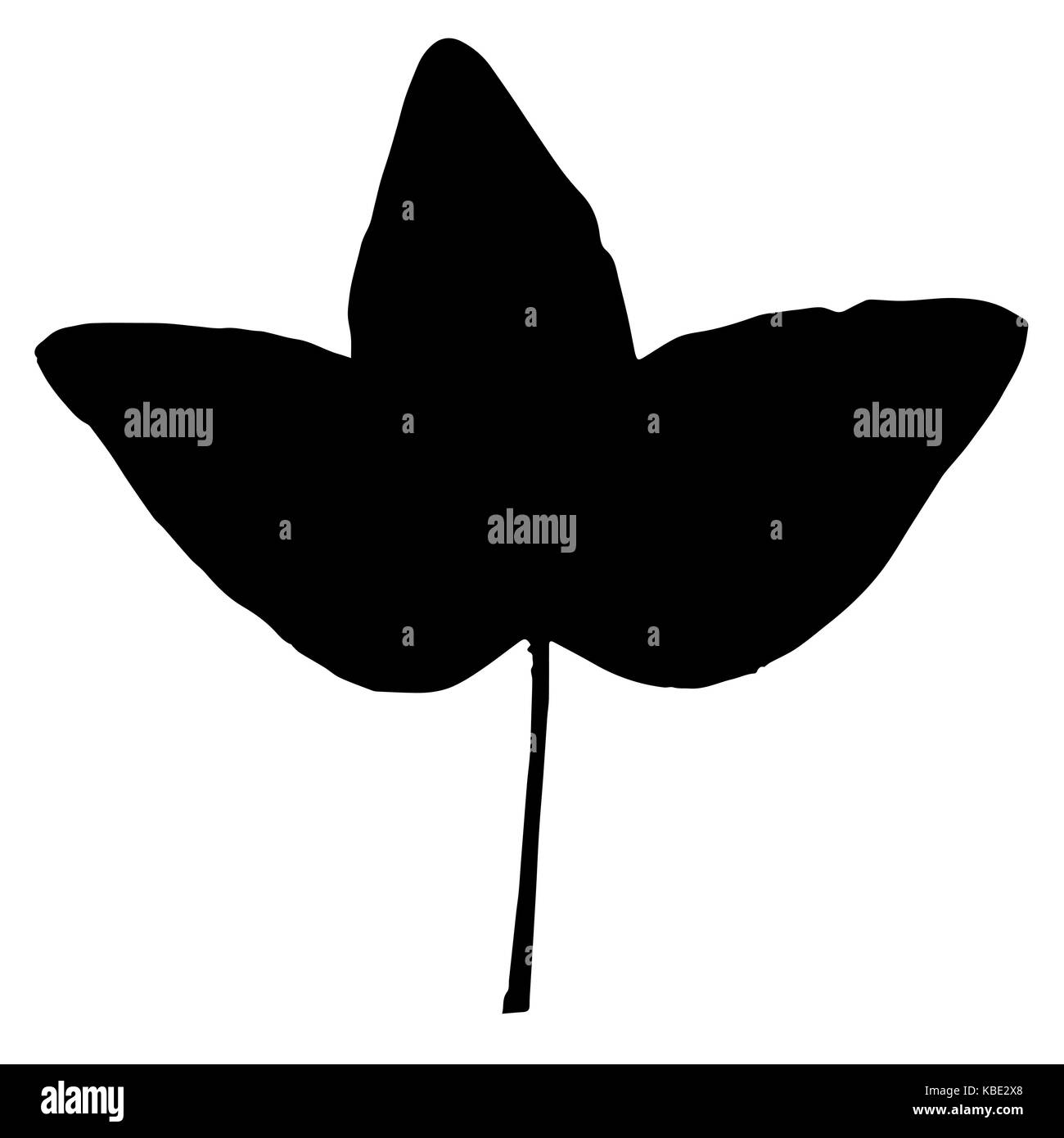 Naturalistic autumn leaves on White. Vector Illustration Stock Vector ...
