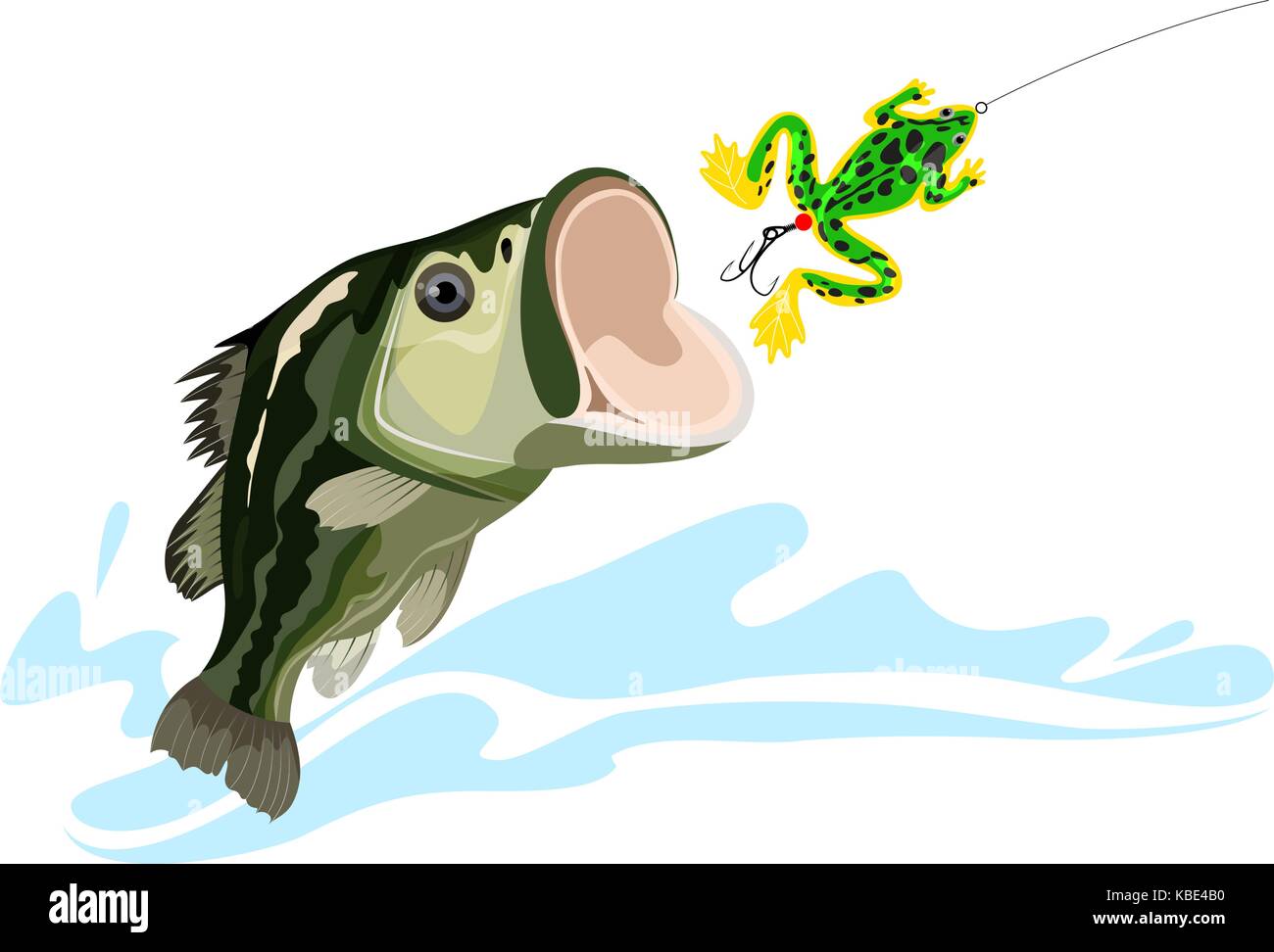 bass and bait, predatory fish, big fishing, vector illustration Stock ...