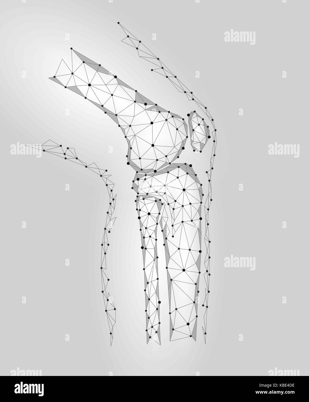 Anatomy of the knee side view Stock Vector Images - Alamy