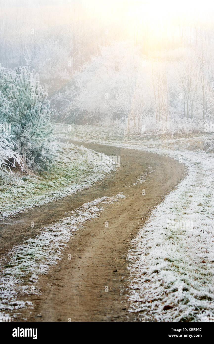 Frozen fog winter country path walkway to forest with grass and tree in ...