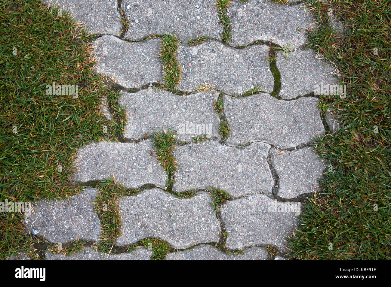 Grey brick pathway through grass Stock Photo - Alamy