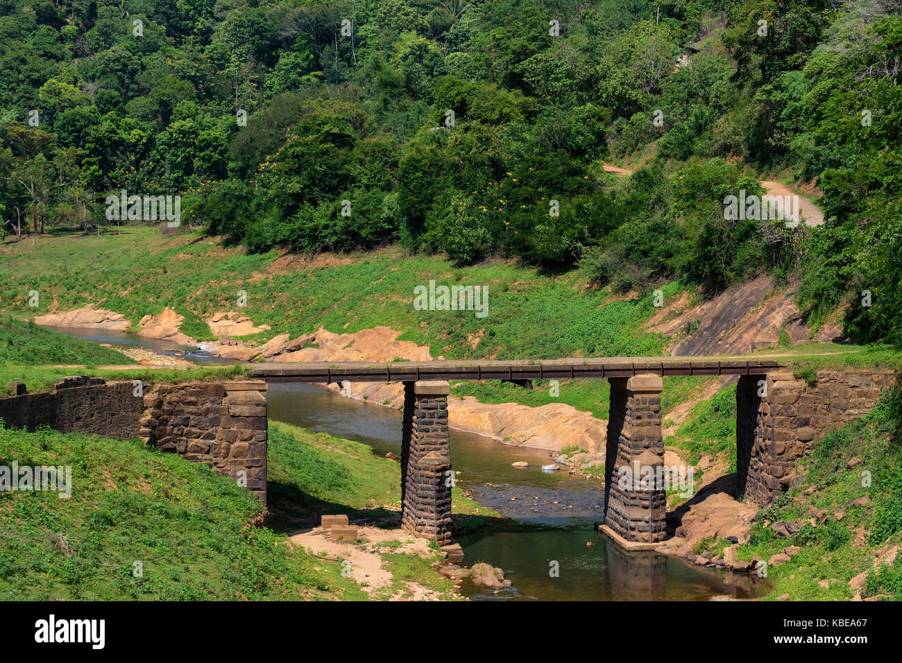 Landscape of bridge over river in jungle Stock Photo - Alamy