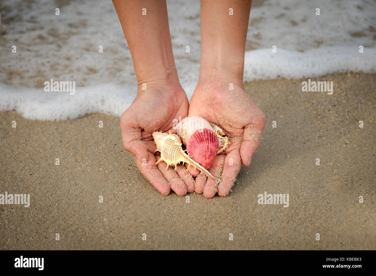 Many shells on woman's hands Stock Photo - Alamy