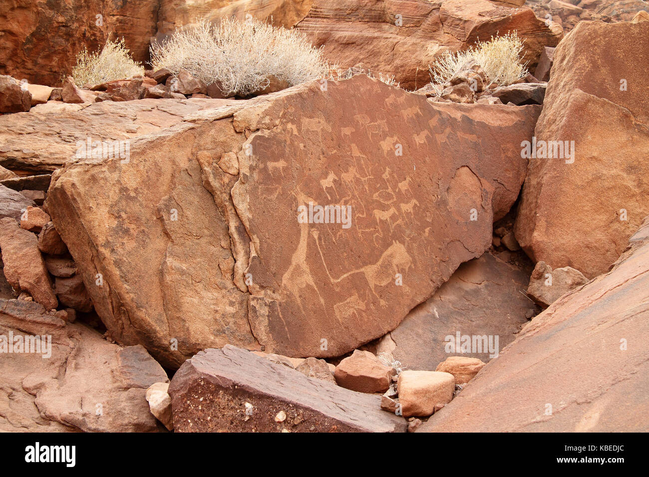 Prehistoric engravings in Twyfelfontein, Unesco World Heritage ...