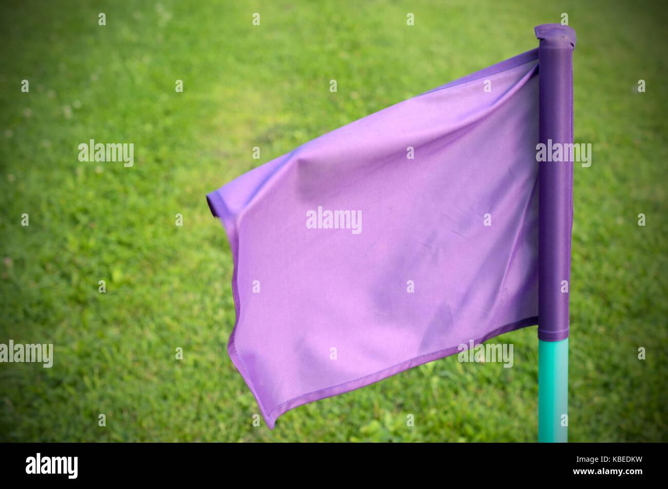 Lilac flags on the green grass of a football playing field Stock Photo ...