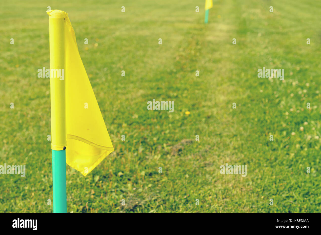 Yellow flags on the green grass of a football playing field Stock Photo ...