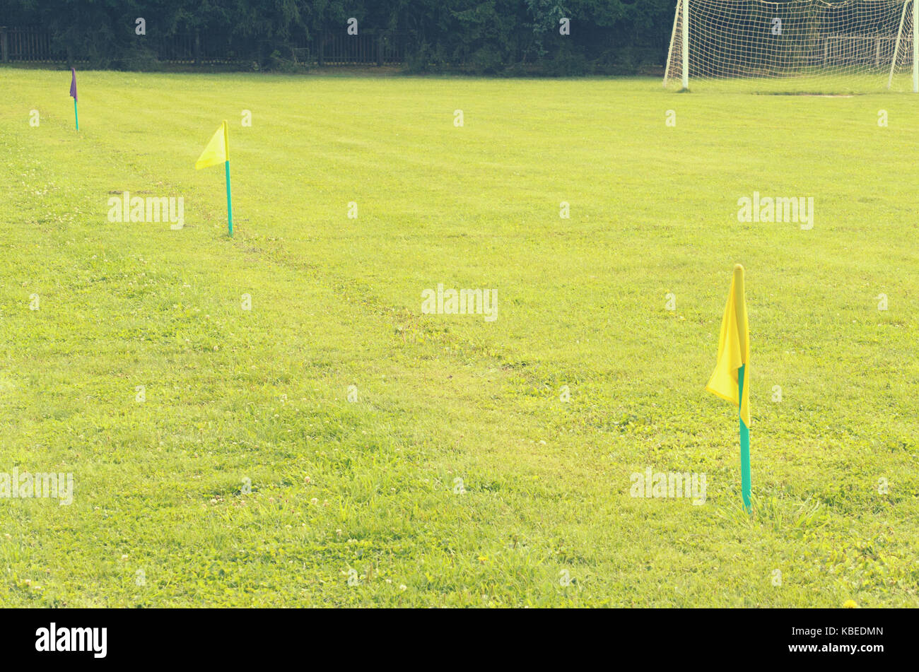 Yellow flags on the green grass of a football playing field Stock Photo ...