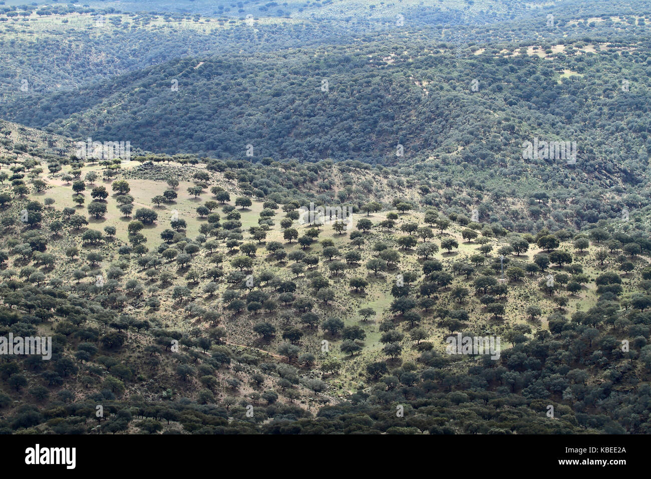 Private forest in spain hi-res stock photography and images - Alamy