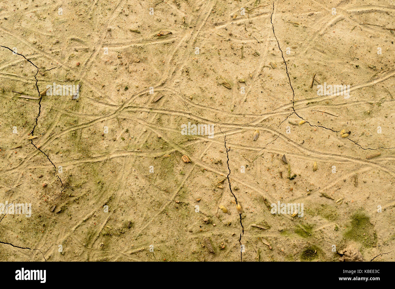 Texture on parched soil, cracks and blotches Stock Photo - Alamy