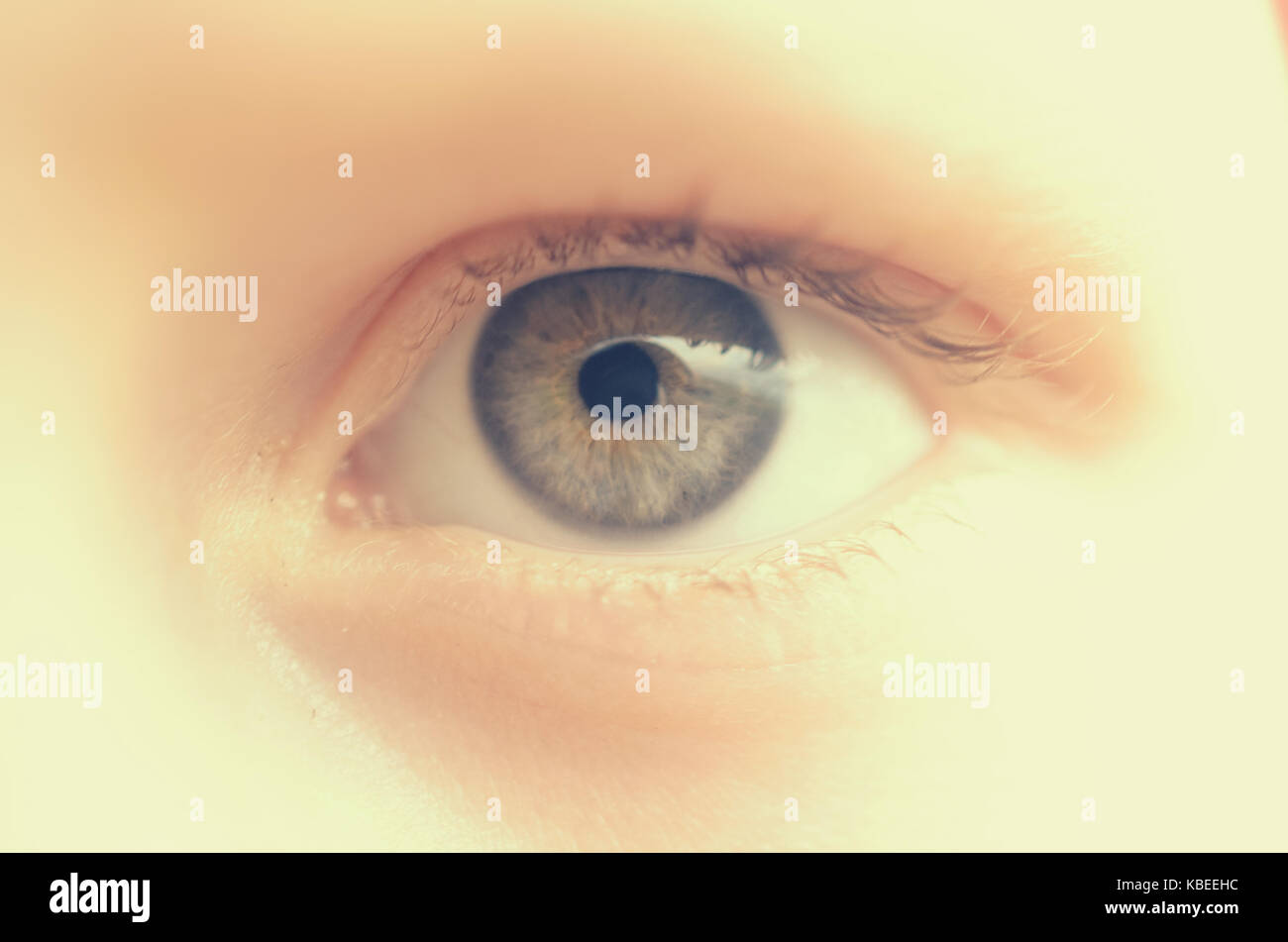 Blue eyes of a close-up boy look straight and in the side Stock Photo ...