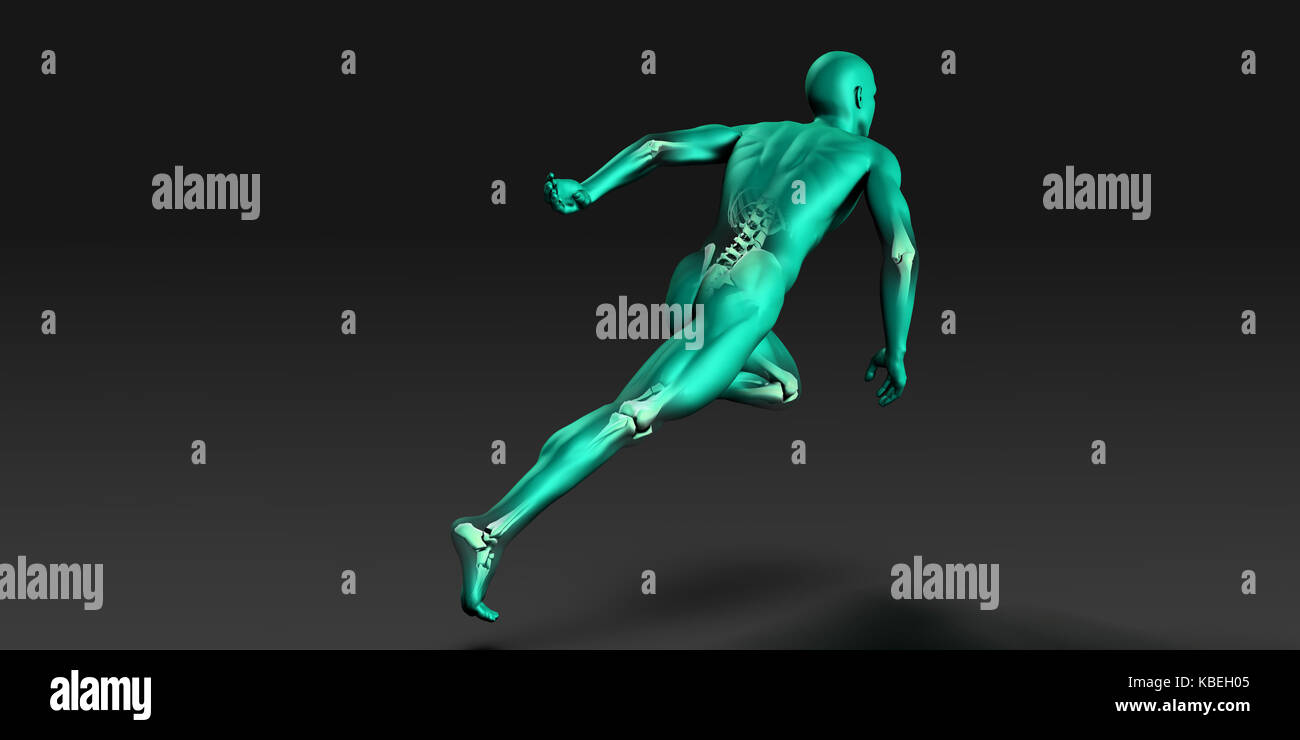 Human body white background structure hi-res stock photography and ...