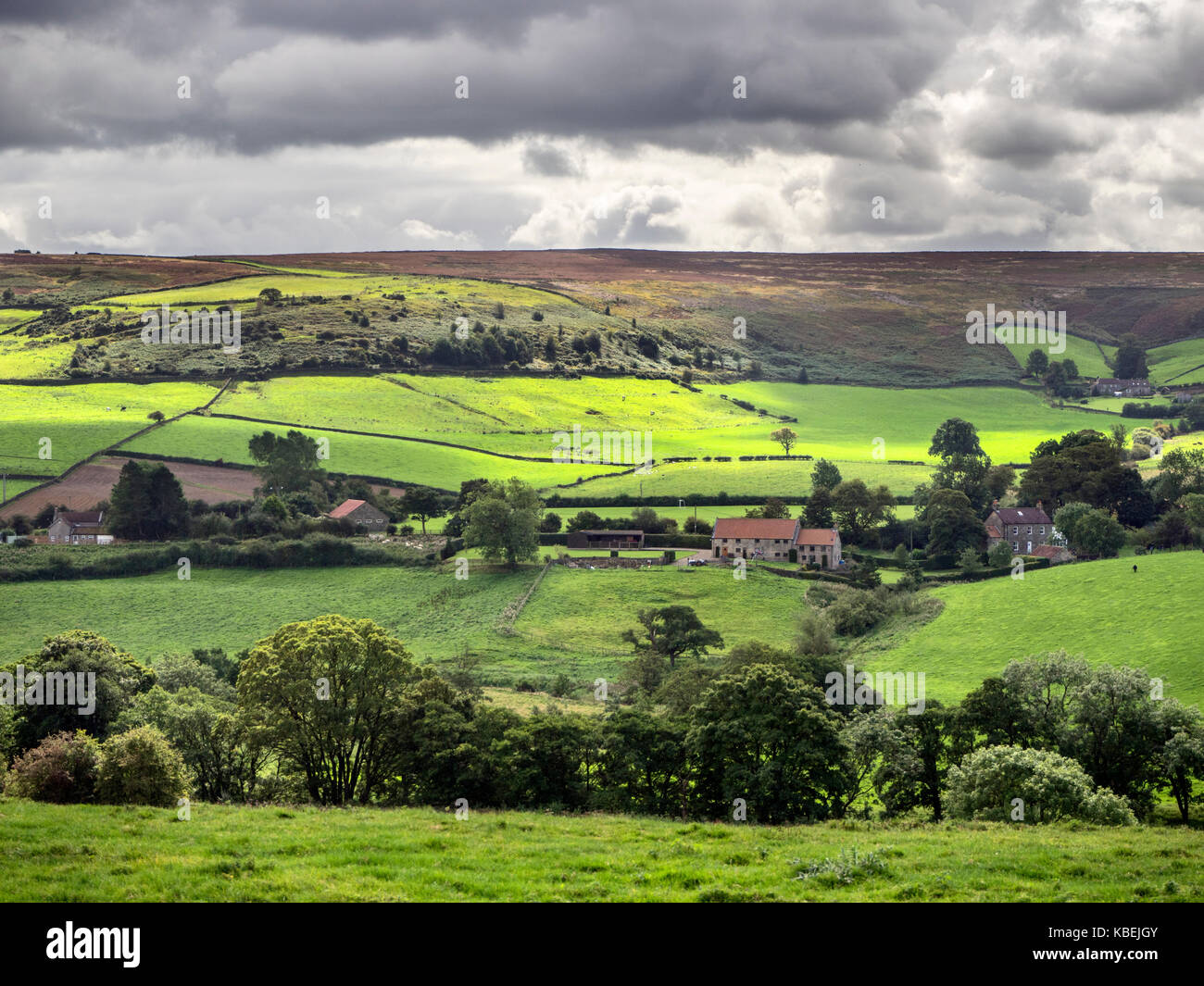 The Esk Valley in Summer near Danby North York Moors Yorkshire England ...