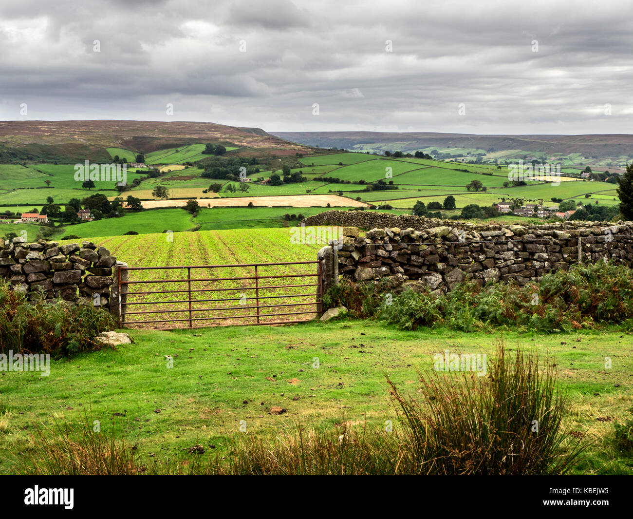 The Esk Valley in Summer near Danby North York Moors Yorkshire England ...