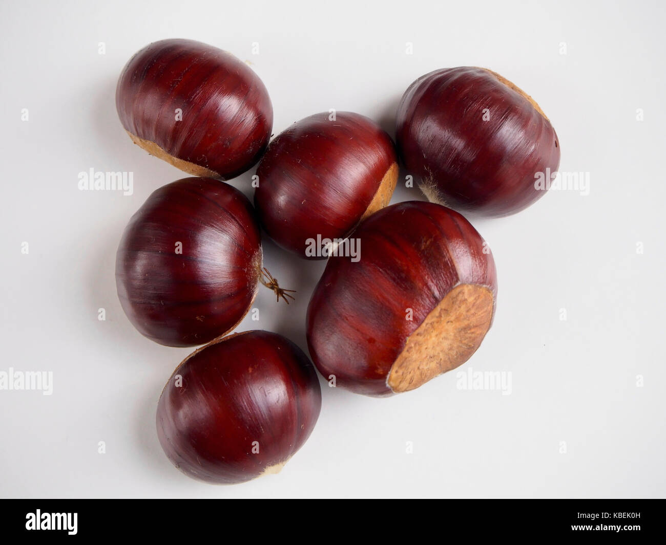 Isolated group of chestnuts Stock Photo - Alamy