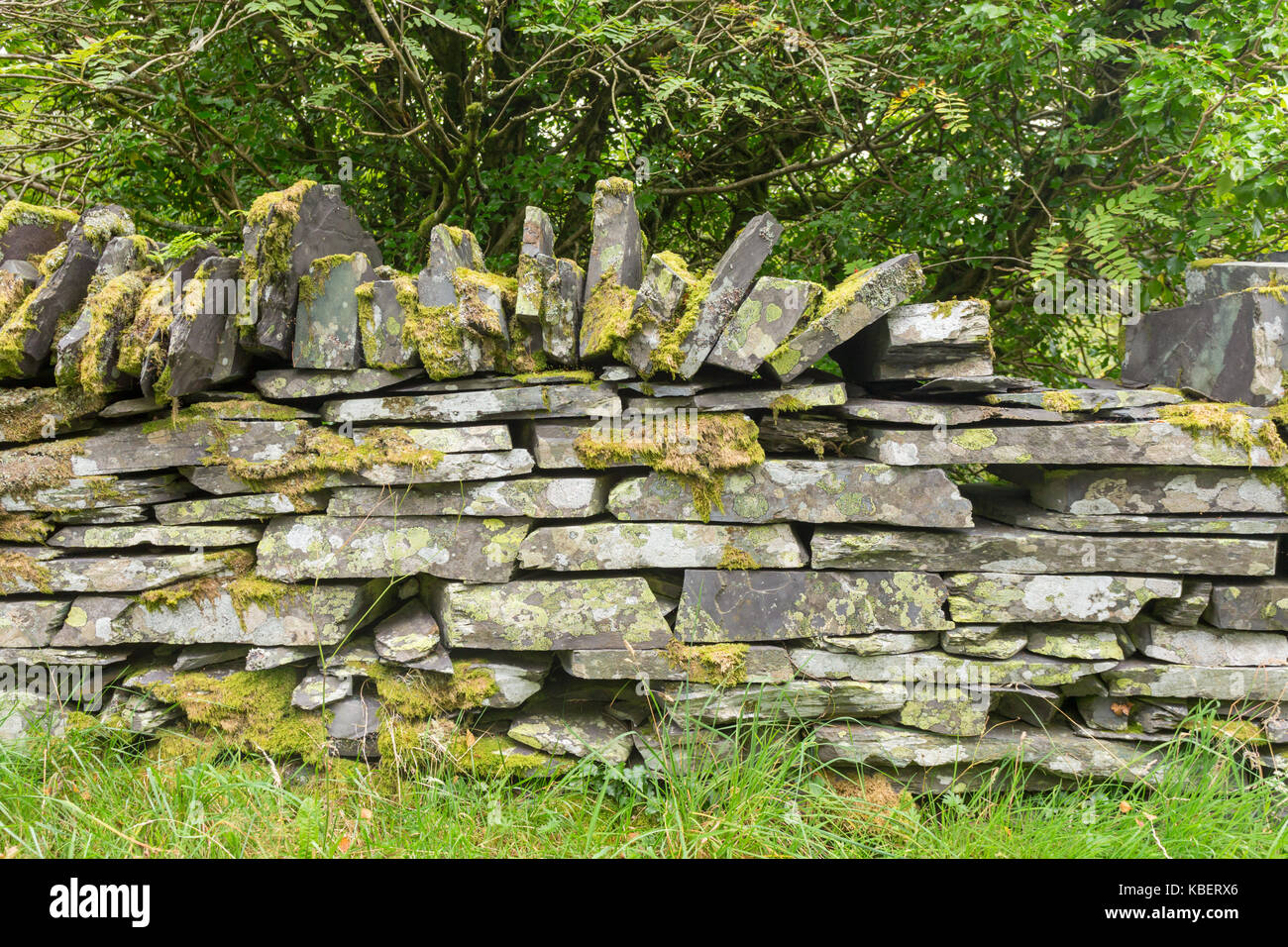 Welsh stone wall hi-res stock photography and images - Alamy