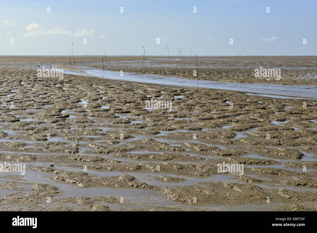 The wide area of grey wet sludge of the North Frisian Wadden Sea with a ...