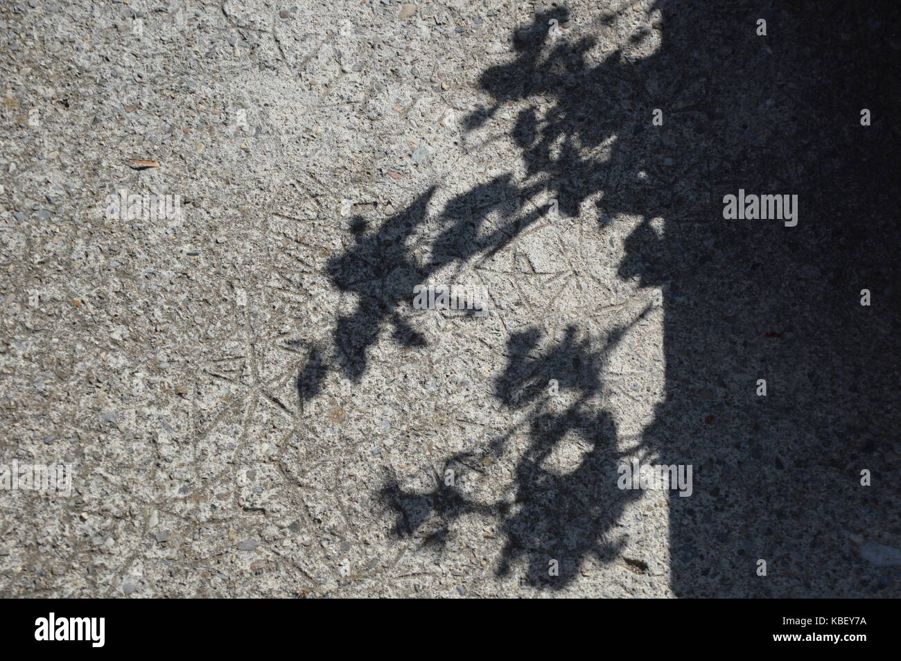 Shadows on the ground Stock Photo - Alamy