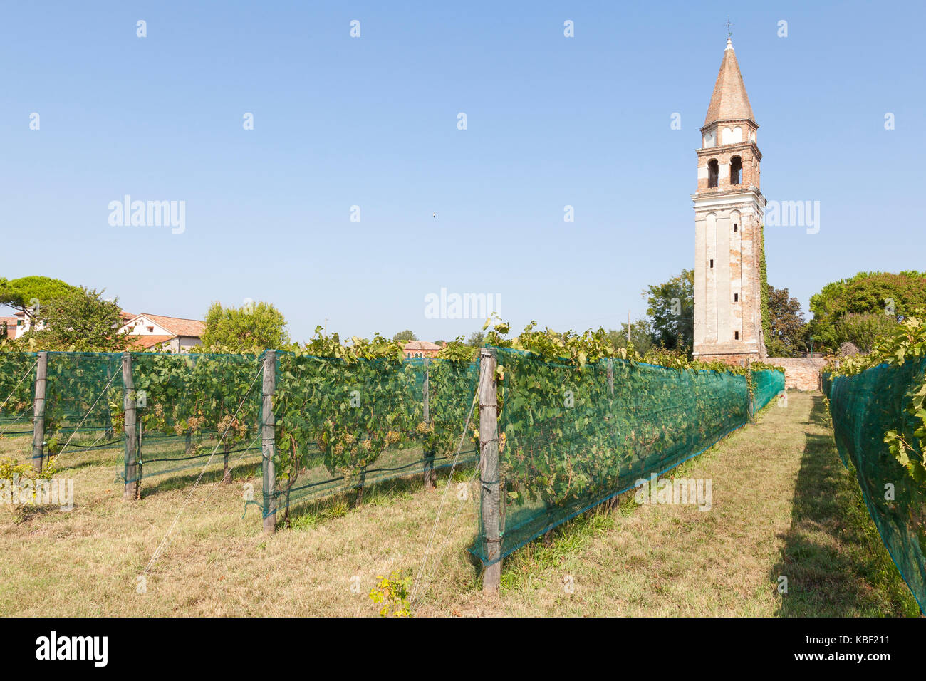 Ancient stone Campanile of Santa Caterina Monastery built in 1318 and ...