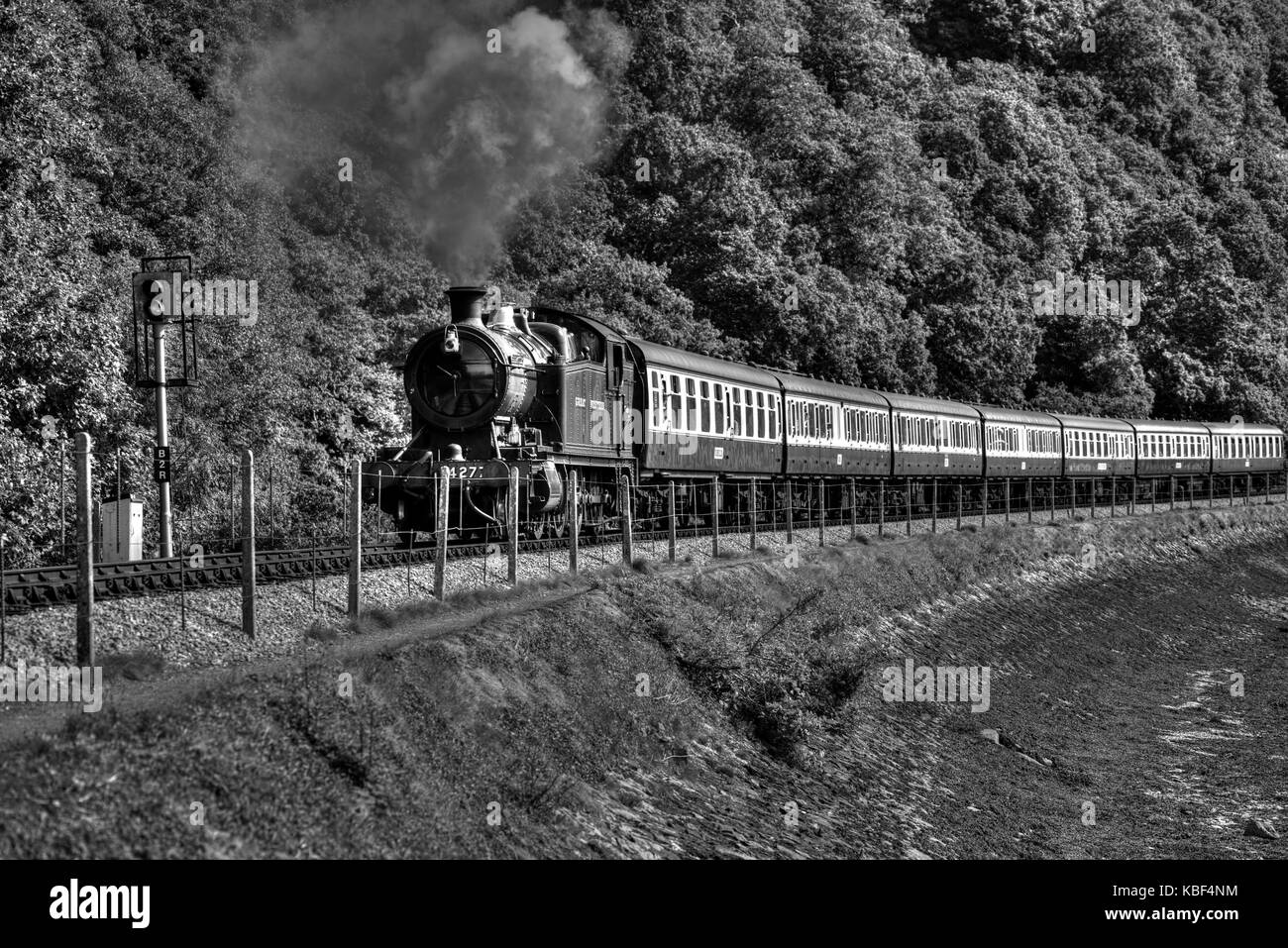 Steam train leaving Kingswear on the Dartmouth Steam Railway, hauled by ...